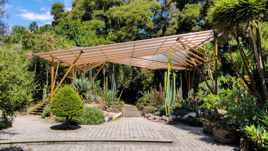 Welcome to Quito and Quito Botanical Gardens | Lark on the Move